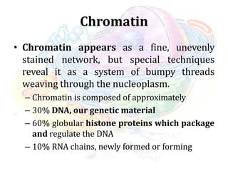CELL ANATOMY AND PHYSIOLOGY SLIDESHARE | PPTX
