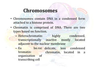 CELL ANATOMY AND PHYSIOLOGY SLIDESHARE | PPTX
