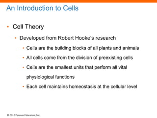 CELL ANATOMY-LEC 3.pdf0001 CELL ANATOMY, | PDF