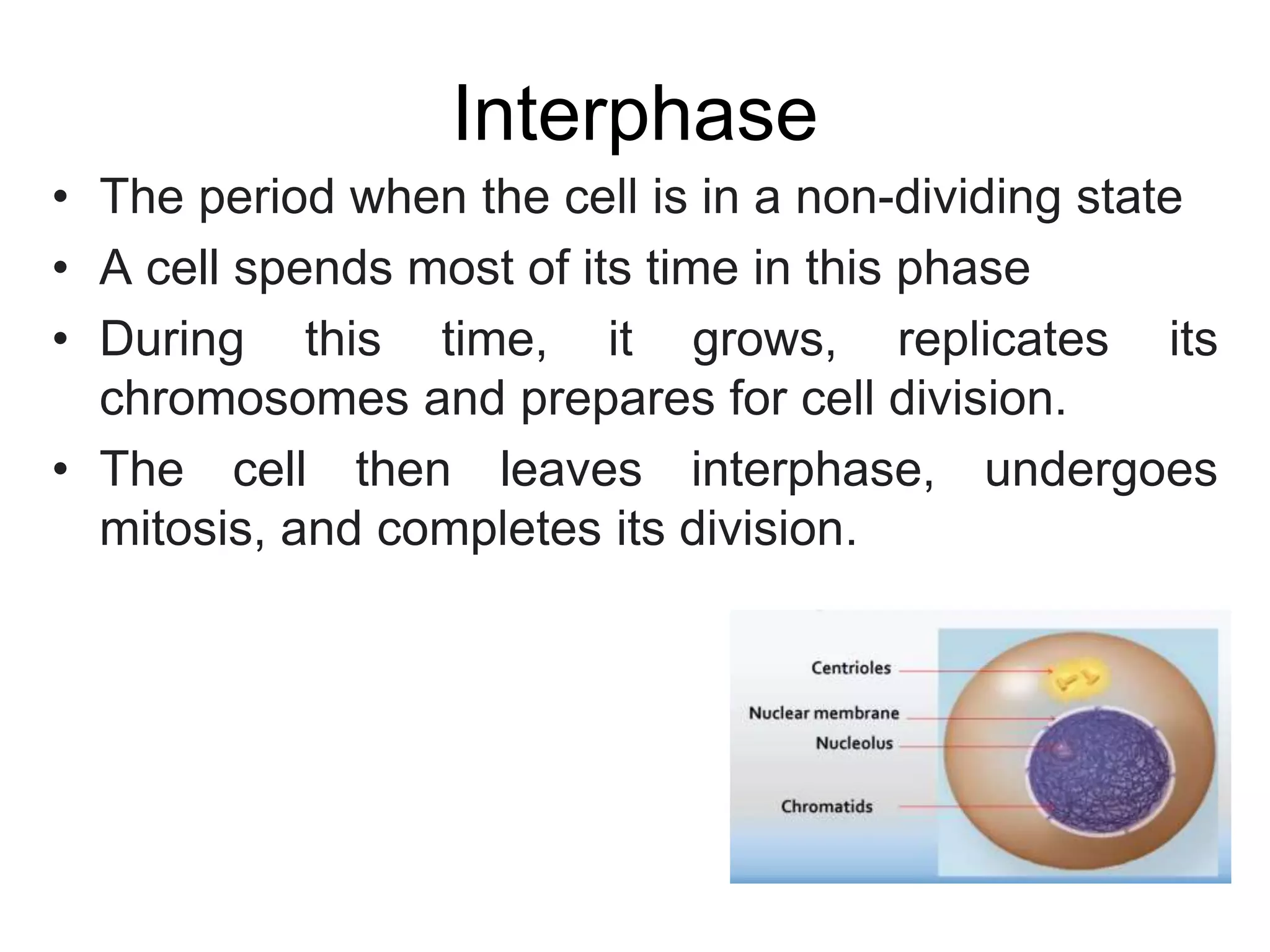 Cell and Cell division.pptx