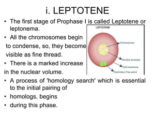 Cell and Cell division.pptx
