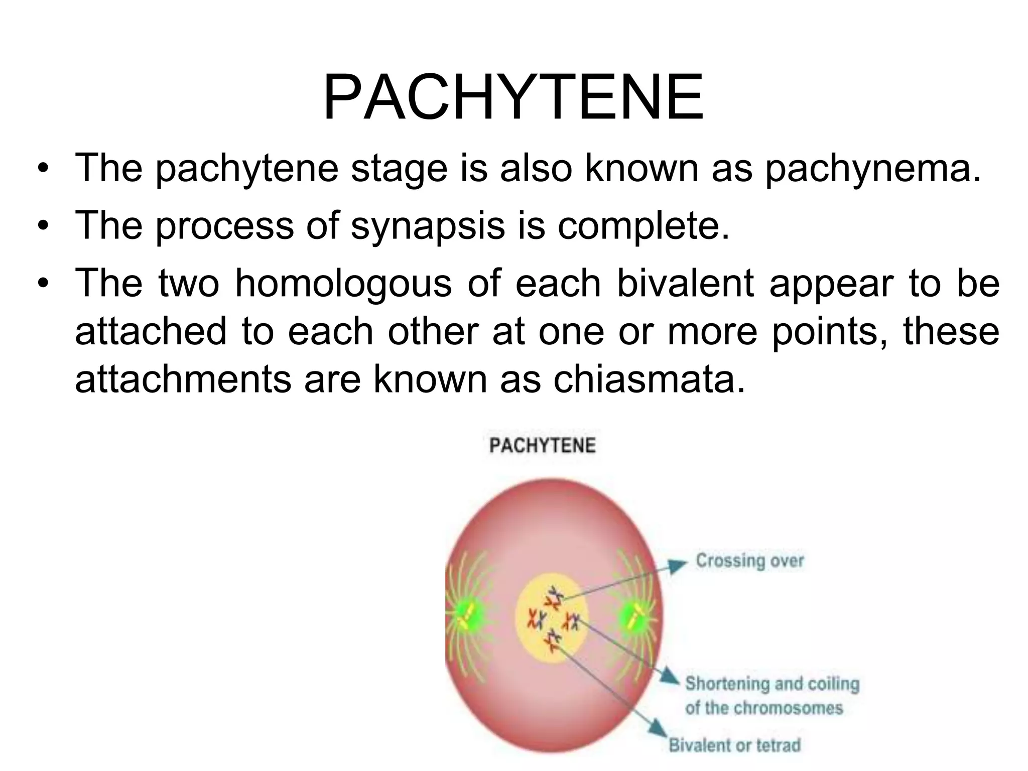 Cell and Cell division.pptx