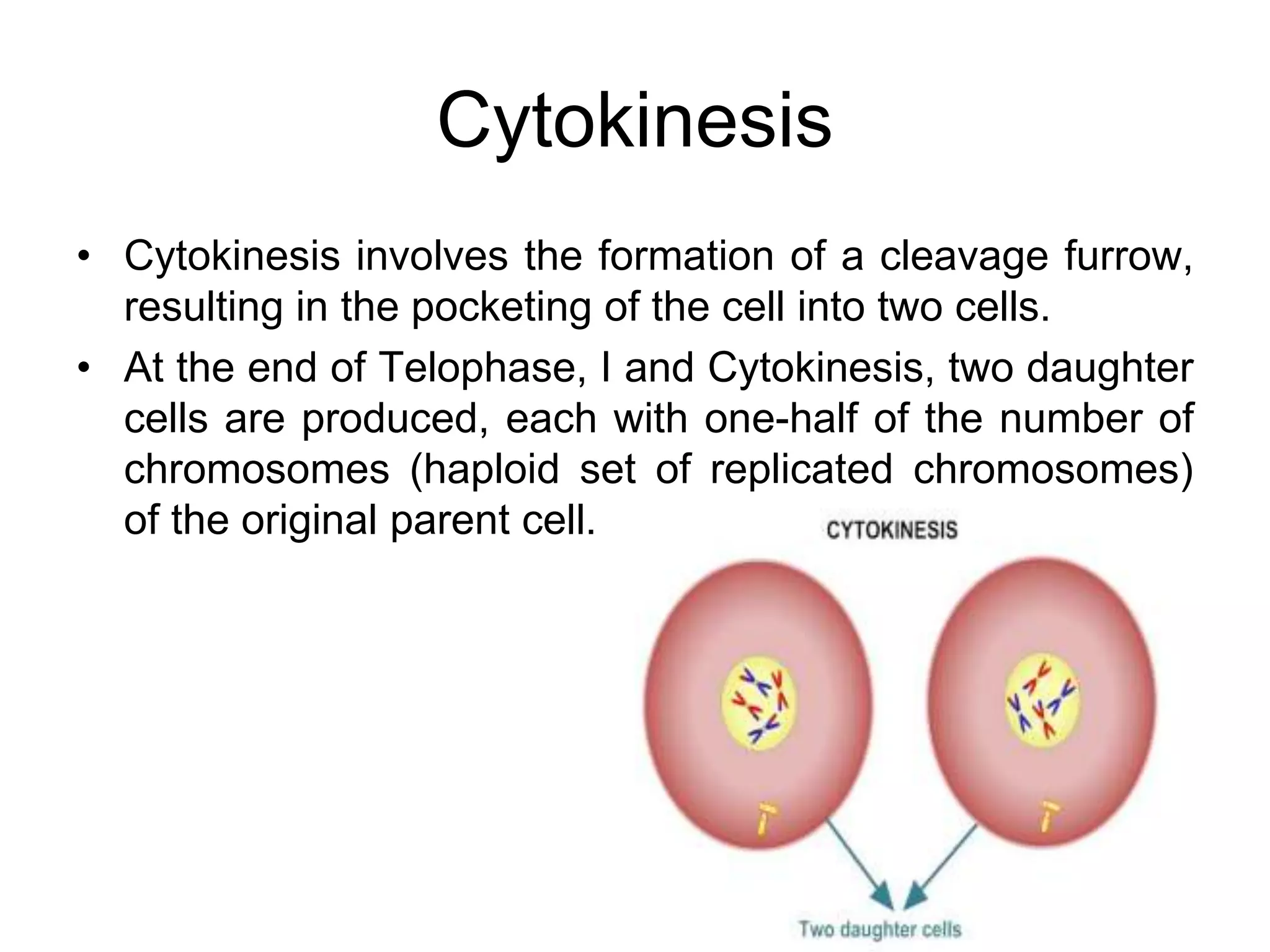 Cell and Cell division.pptx