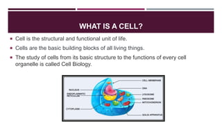 CELL AND CELL ORGANELLES | PPTX