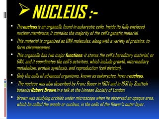 Cell and Cell Organelles for class 10.pptx