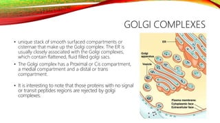 cell and cell organelles-Nursing. Day 2.pptx