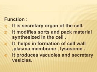 Cell and cell organlles | PPTX