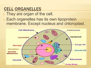 Cell and cell organlles | PPTX
