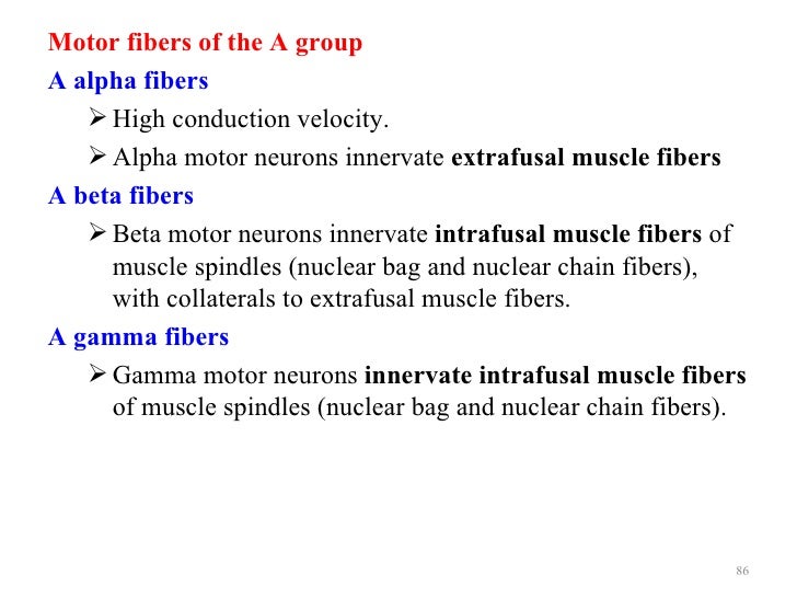 Cell and cell signalling