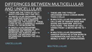 Cell and cell structure | PPTX