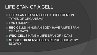 Cell and cell structure | PPT