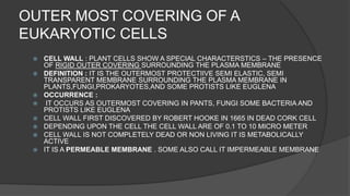 Cell and cell structure | PPT