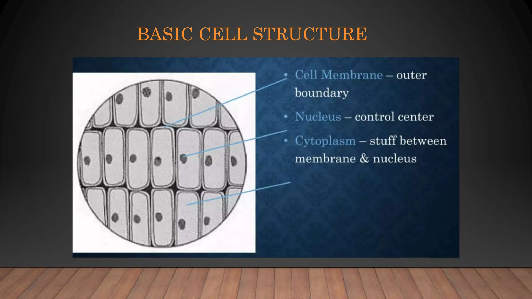 cell and Cell Theory importance ppt.pptx