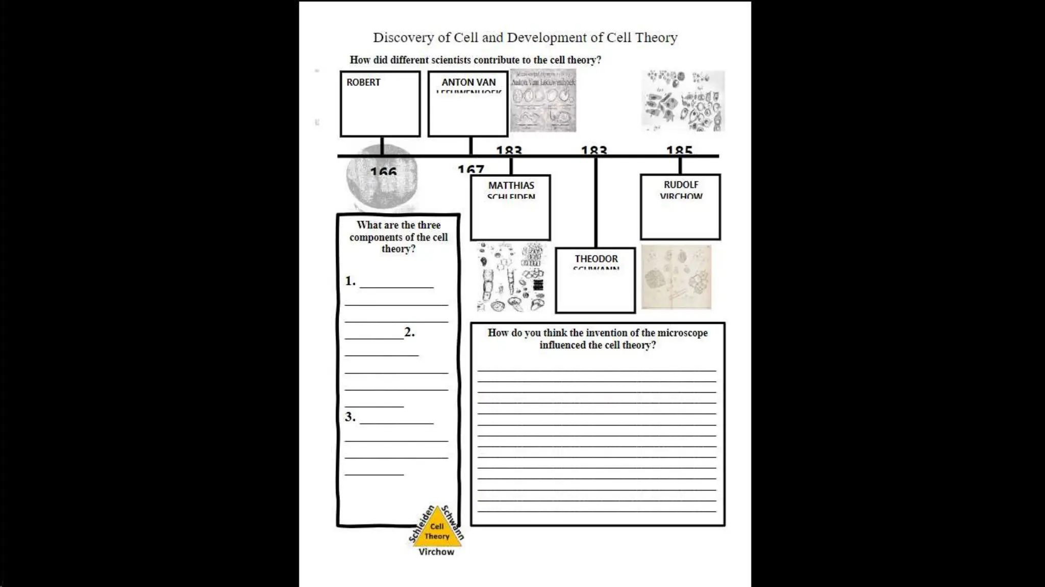 cell and Cell Theory importance ppt.pptx