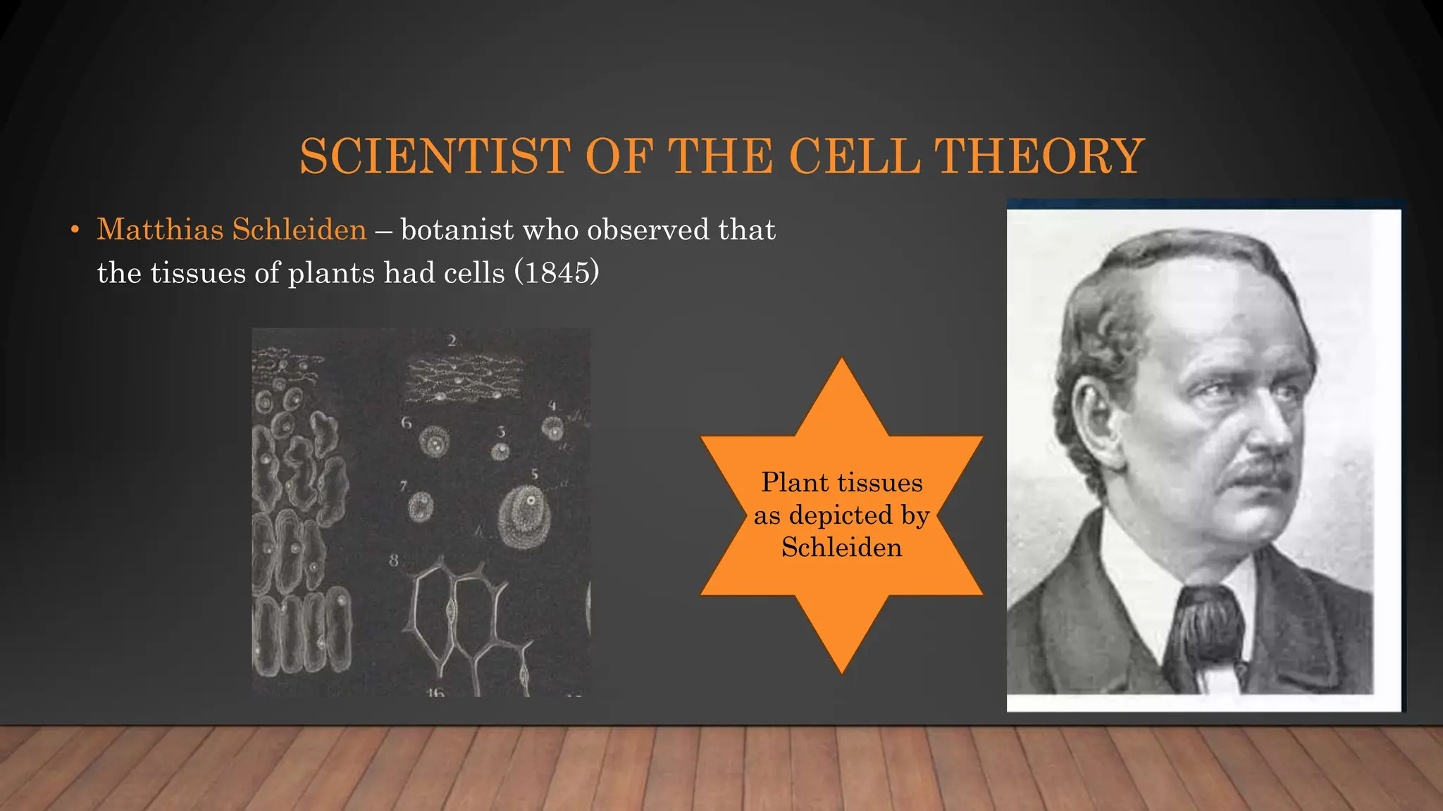 cell and Cell Theory importance ppt.pptx