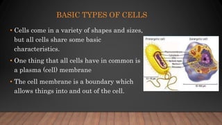 cell and Cell Theory importance ppt.pptx