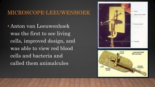 cell and Cell Theory importance ppt.pptx