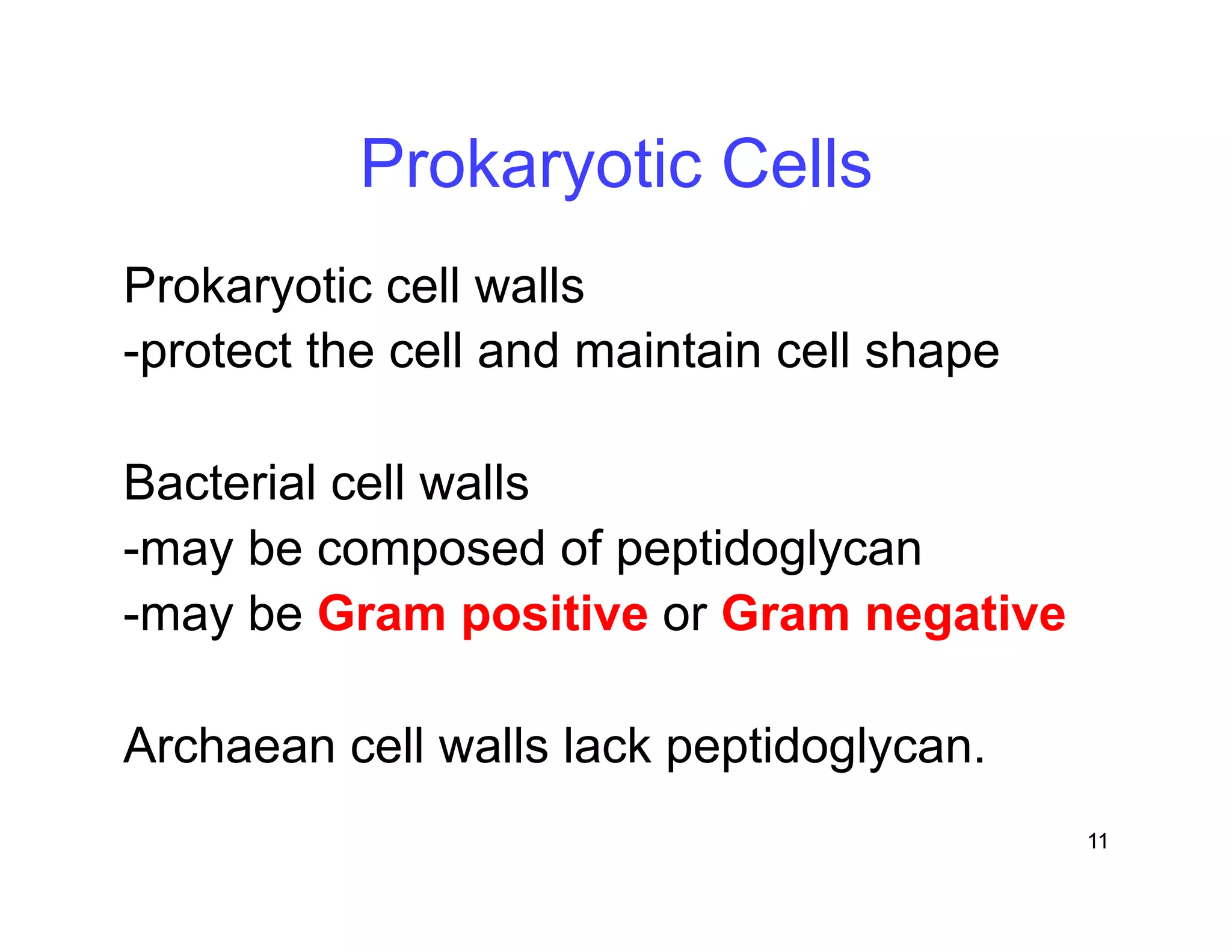 cell and cell theory ppt.pdf