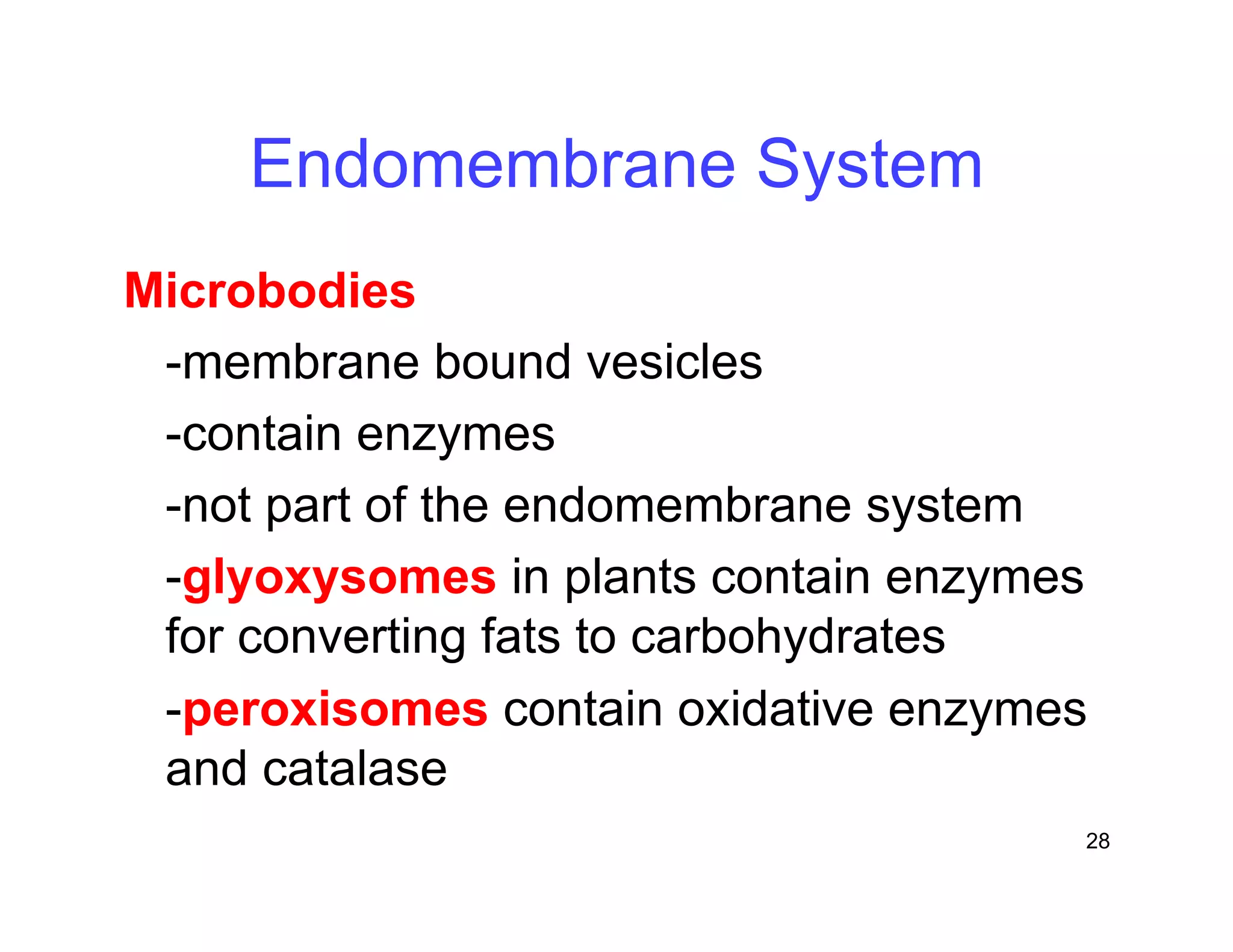 cell and cell theory ppt.pdf