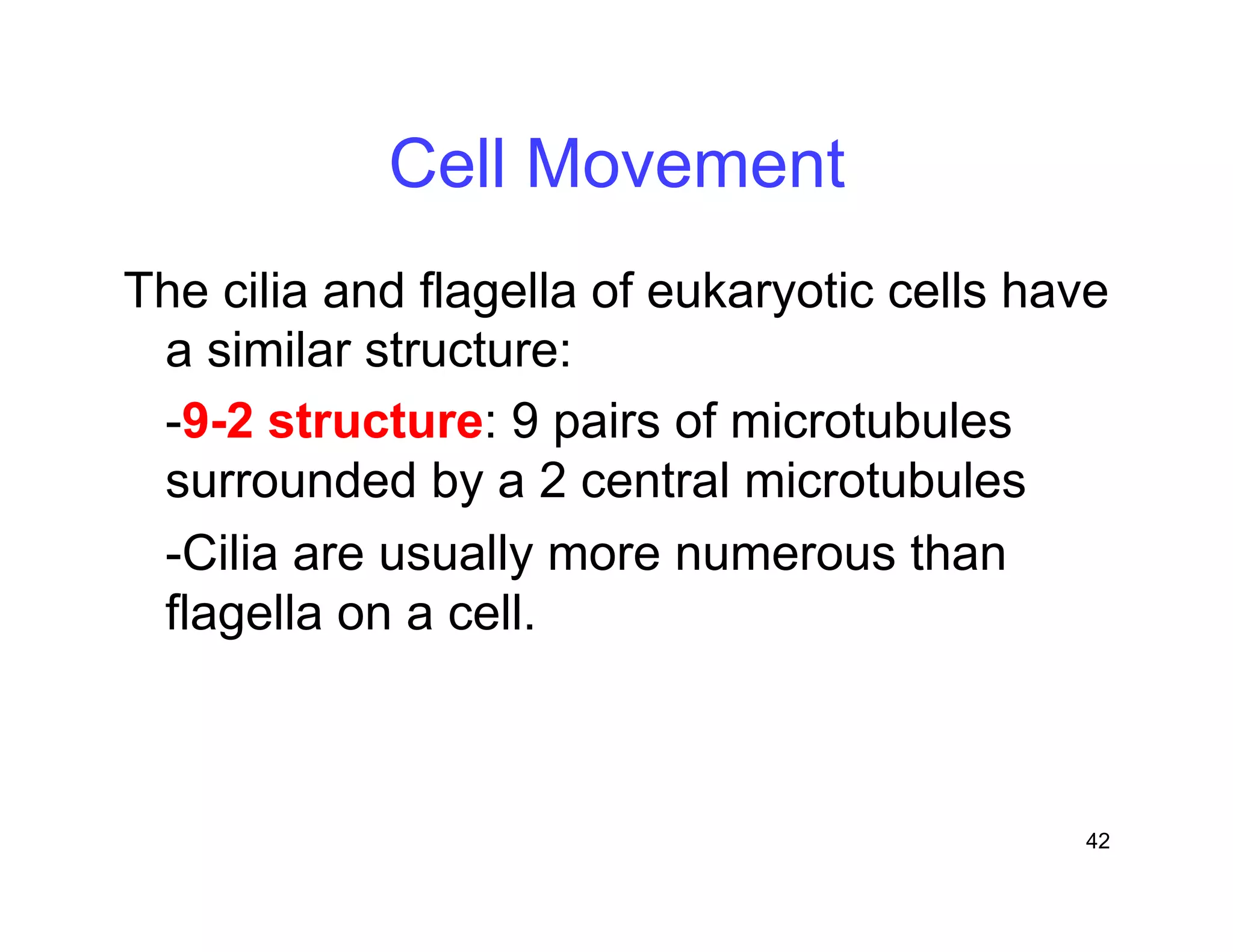 cell and cell theory ppt.pdf
