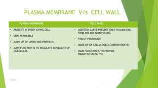 Cell and its components | PPT