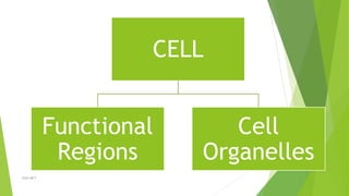 Cell and its components | PPT