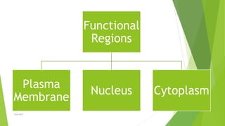 Cell and its components | PPT