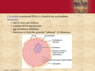 cell and its function.pptx