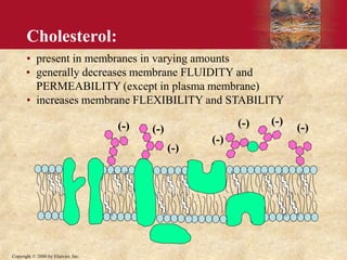 cell and its function.pptx