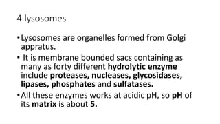 Cell and its function showing various organelles | PPTX