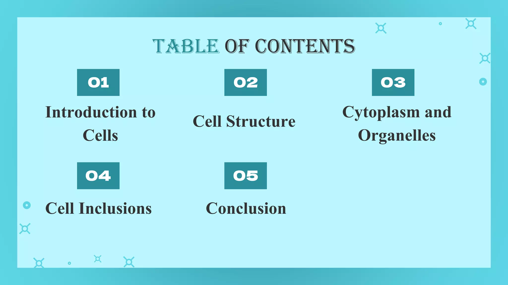 CELL AND ITS INCUSIONS BY PULKIT SHARMA | PPTX