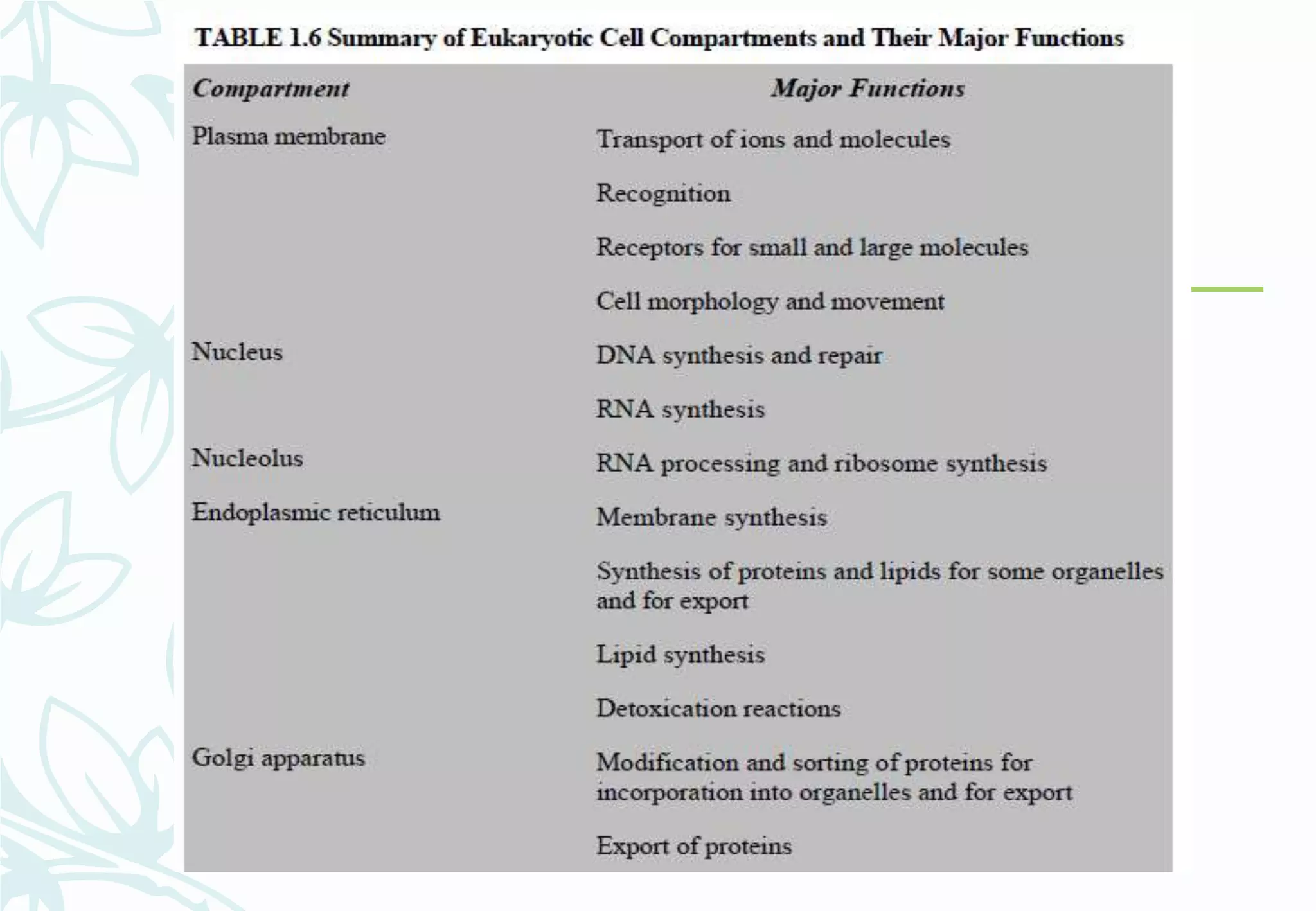 Cell and its organelles | PPTX | Biological Sciences | Science