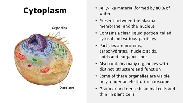 Cell and its organelles | PDF