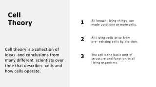 Cell and its organelles | PDF