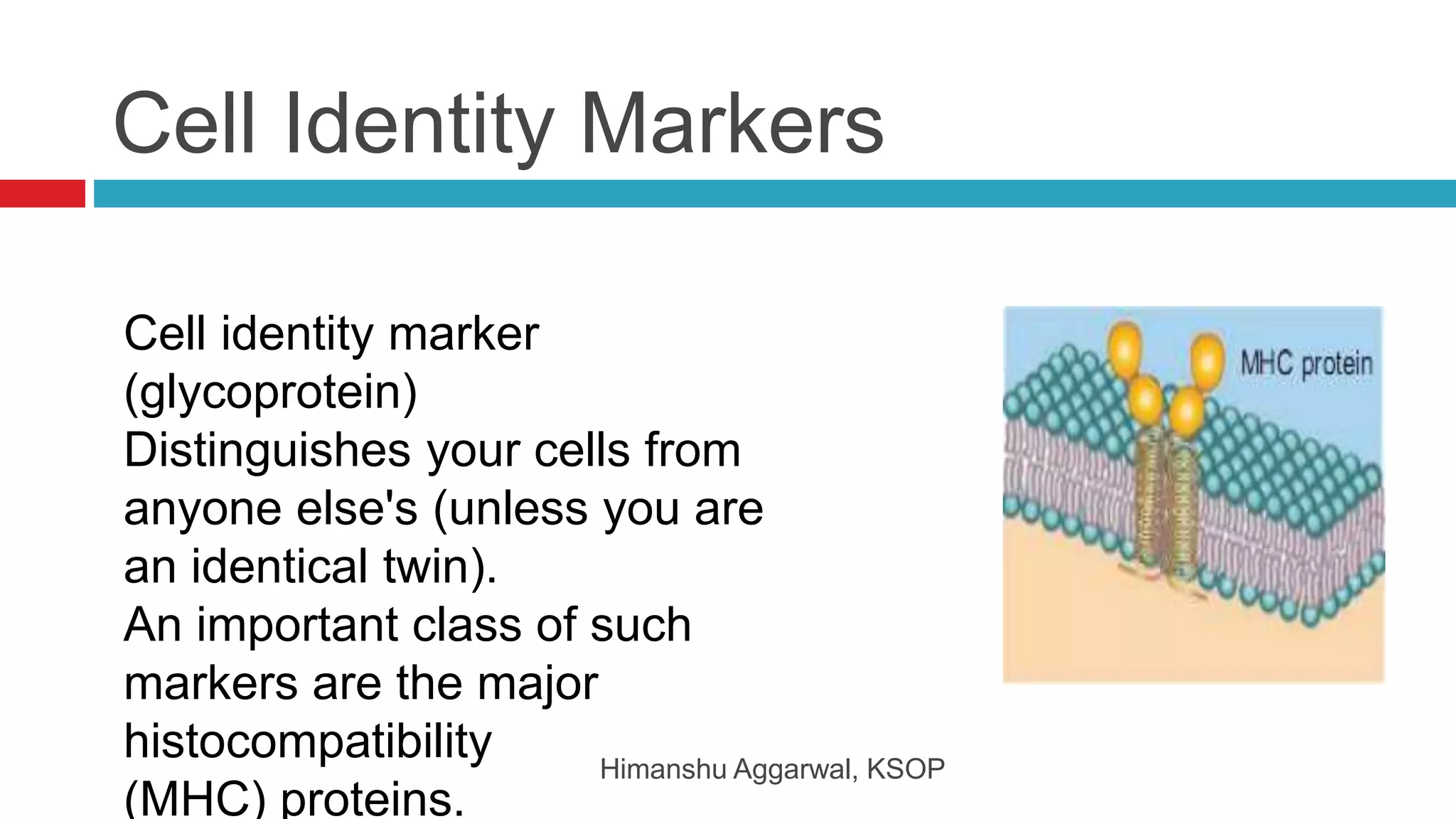 Cell and its organelles Unit 1.pptx