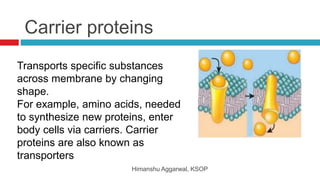 Cell and its organelles Unit 1.pptx
