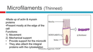 Cell and its organelles Unit 1.pptx