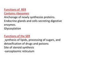 cell and its structure.pdf