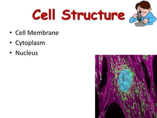 cell and its structure.pdf
