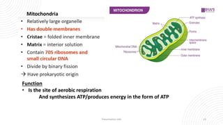 CELL AND ITS STRUCTURE for high school.pptx