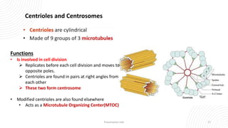 CELL AND ITS STRUCTURE for high school.pptx
