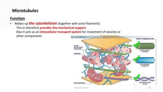 CELL AND ITS STRUCTURE for high school.pptx