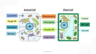CELL AND ITS STRUCTURE for high school.pptx