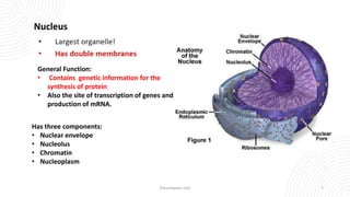 CELL AND ITS STRUCTURE for high school.pptx