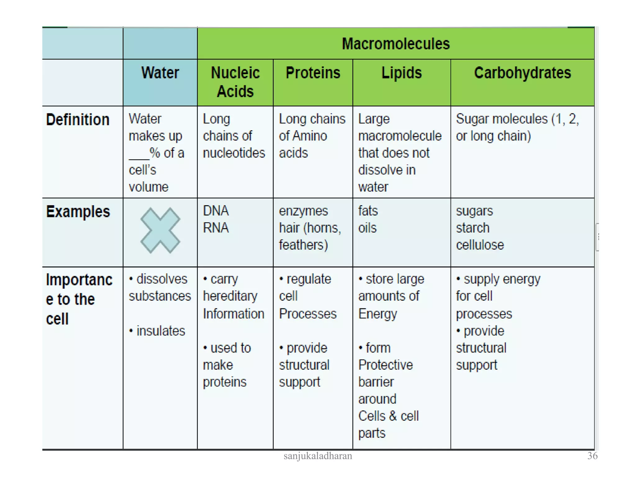 Cell and macromolecules | PPT | Biological Sciences | Science