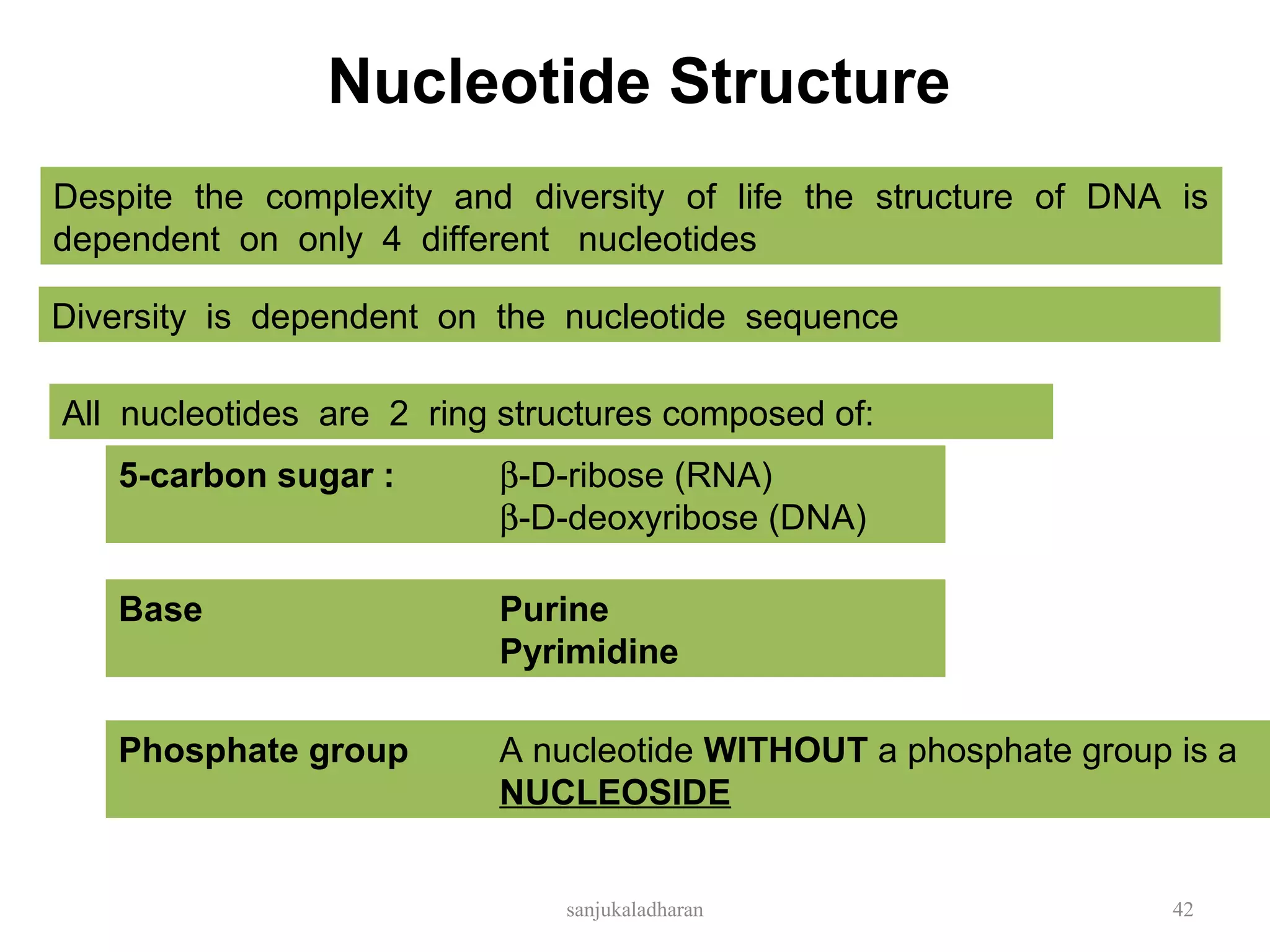 Cell and macromolecules | PPT