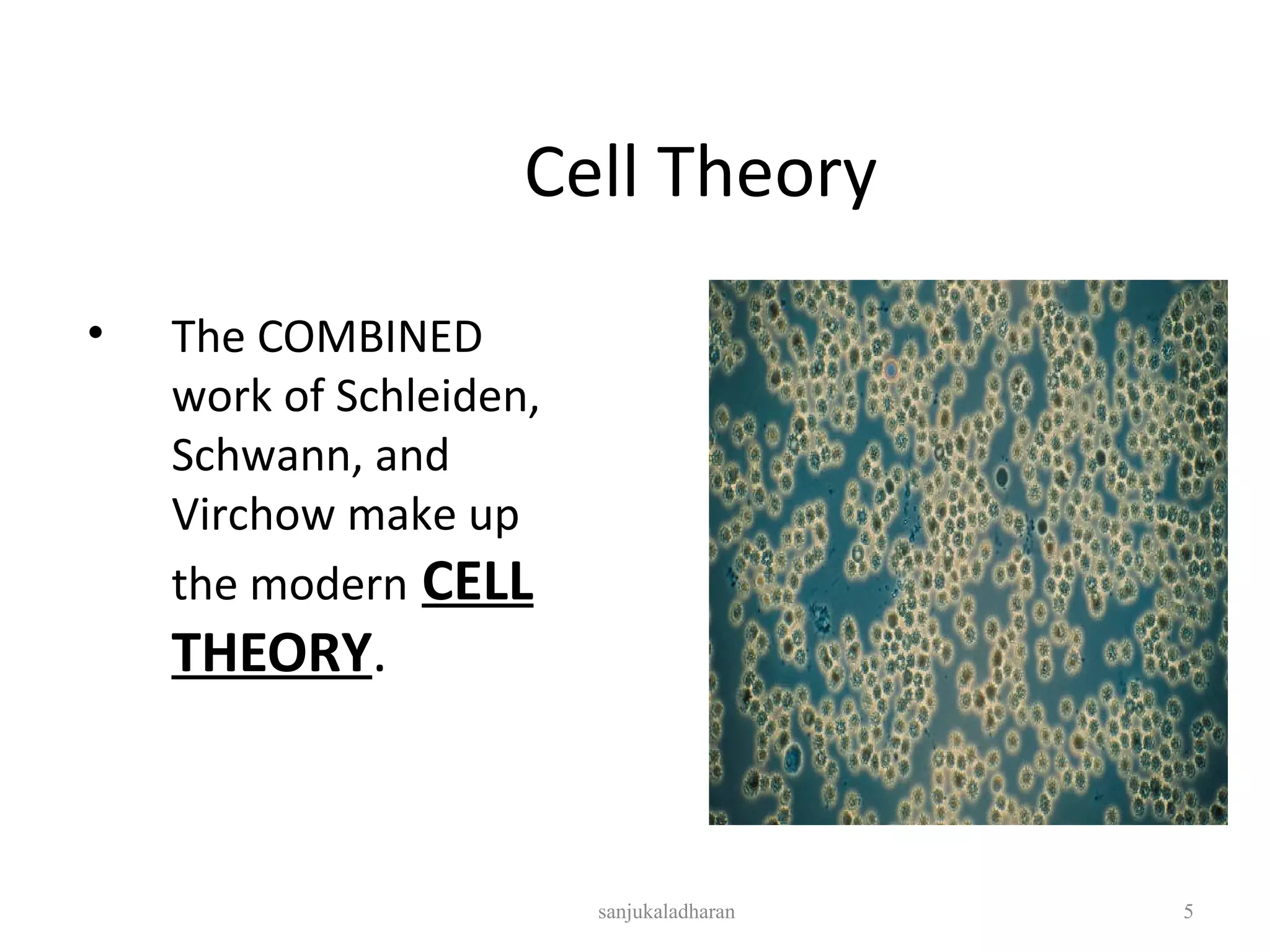 Cell and macromolecules | PPT | Biological Sciences | Science