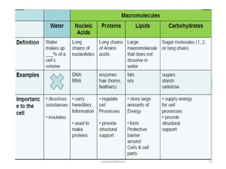 Four Macromolecules Chart