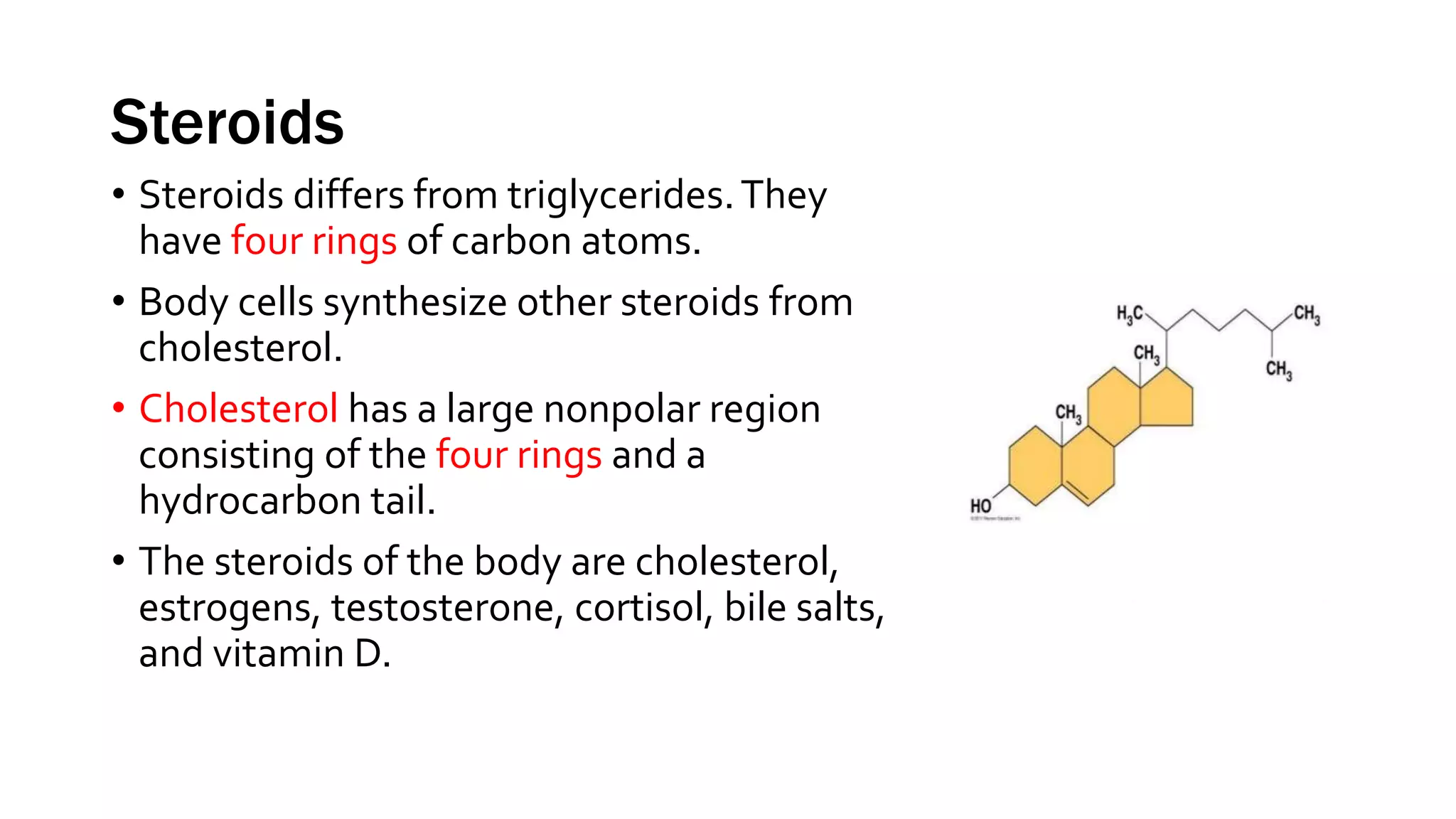 Cell and macromolecules | PPTX