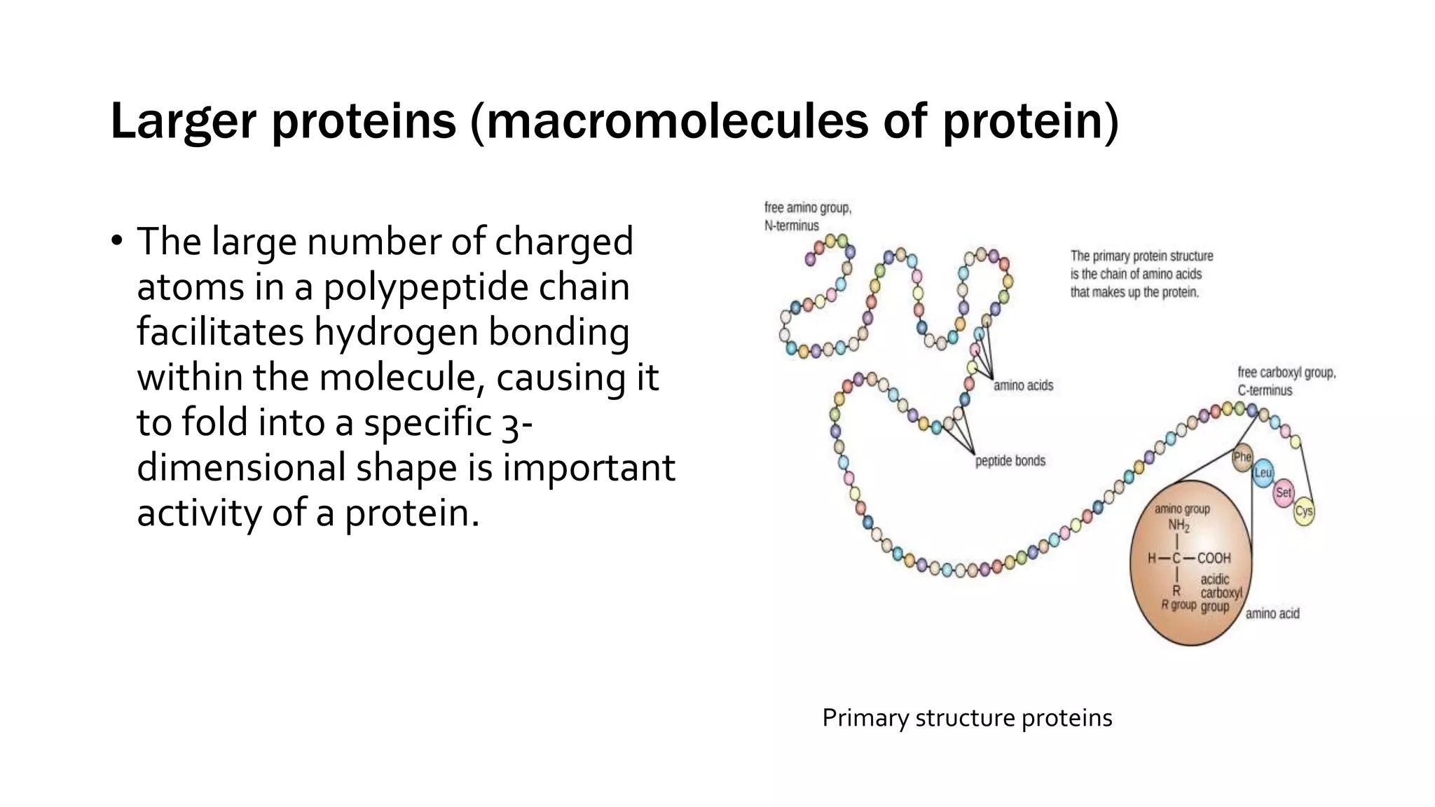 Cell and macromolecules | PPTX
